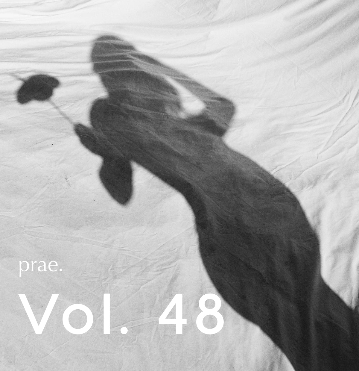 SONGS FOR BIRTH Vol. 48 – Prae Wellness
